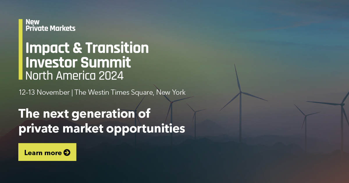 New Private Markets Investor Summit: North America 2025 | The next ...